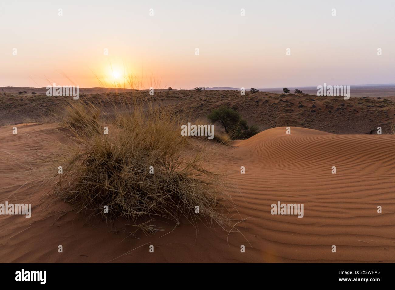 Star dune in the namib desert hi-res stock photography and images - Alamy