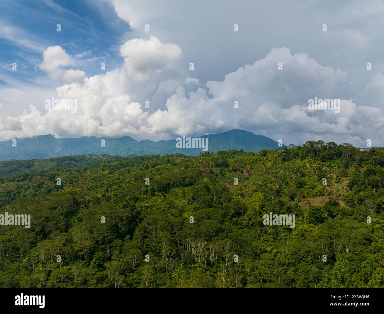 Mindanao philippines and jungle hi-res stock photography and images - Alamy