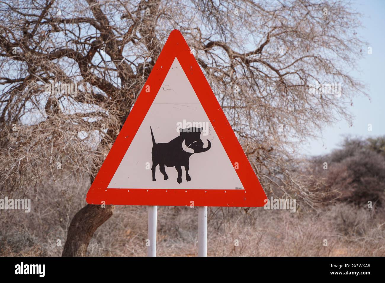 Warthog warning sign, Namibia Stock Photo - Alamy
