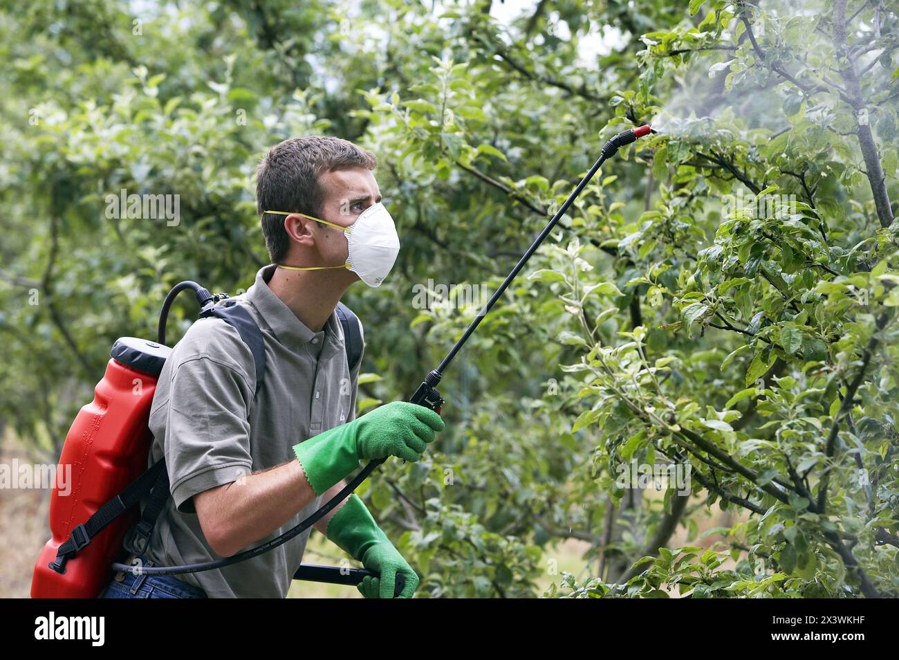 Spray pesticides europe apple hi-res stock photography and images - Alamy