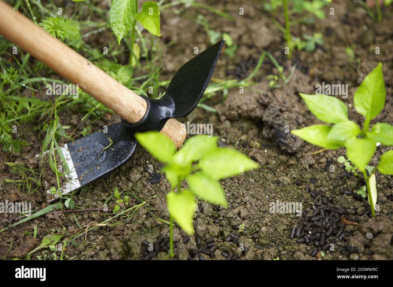 Farmer using hoe hand tool hi-res stock photography and images - Alamy