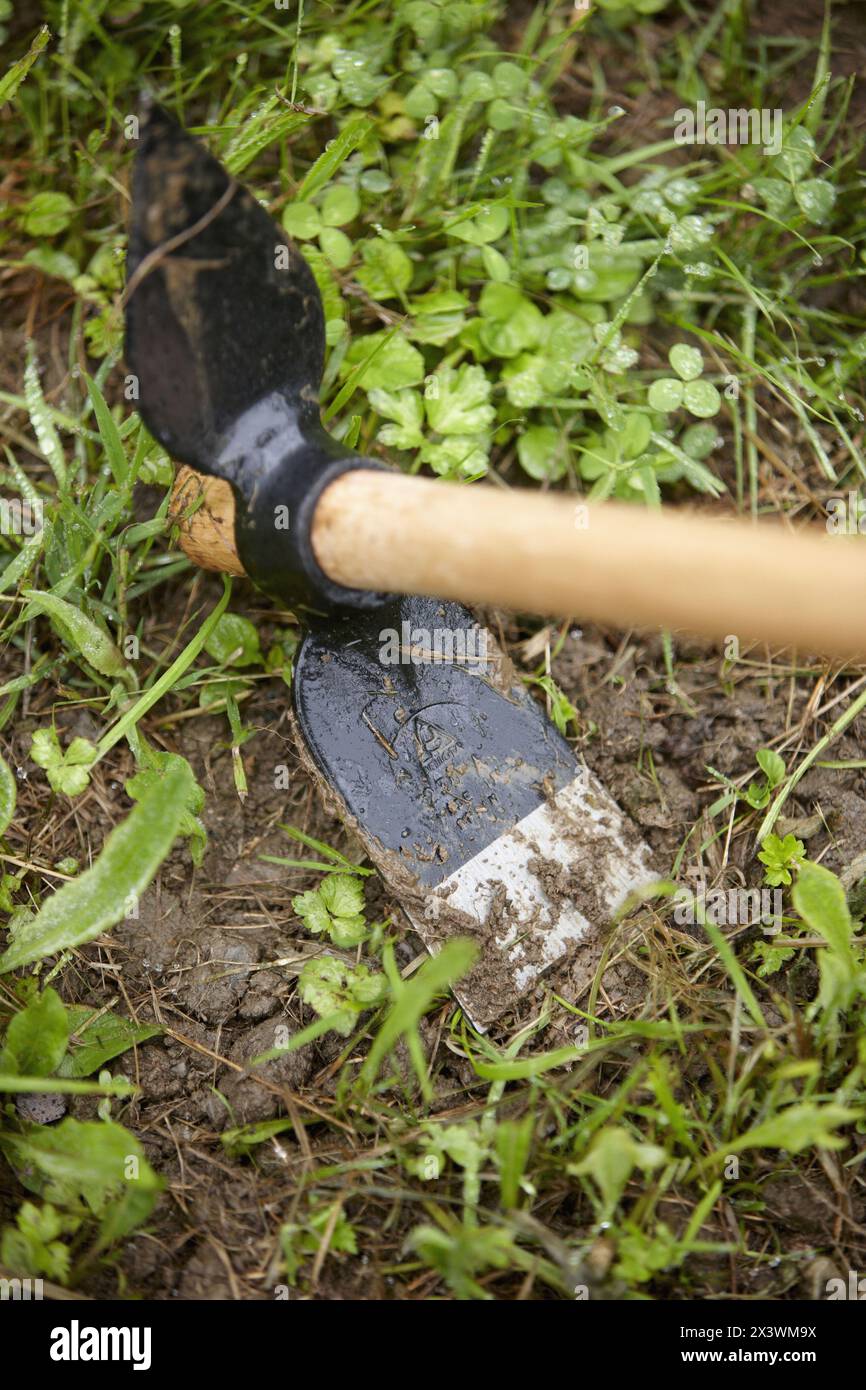 Farmer using hoe hand tool hi-res stock photography and images - Alamy