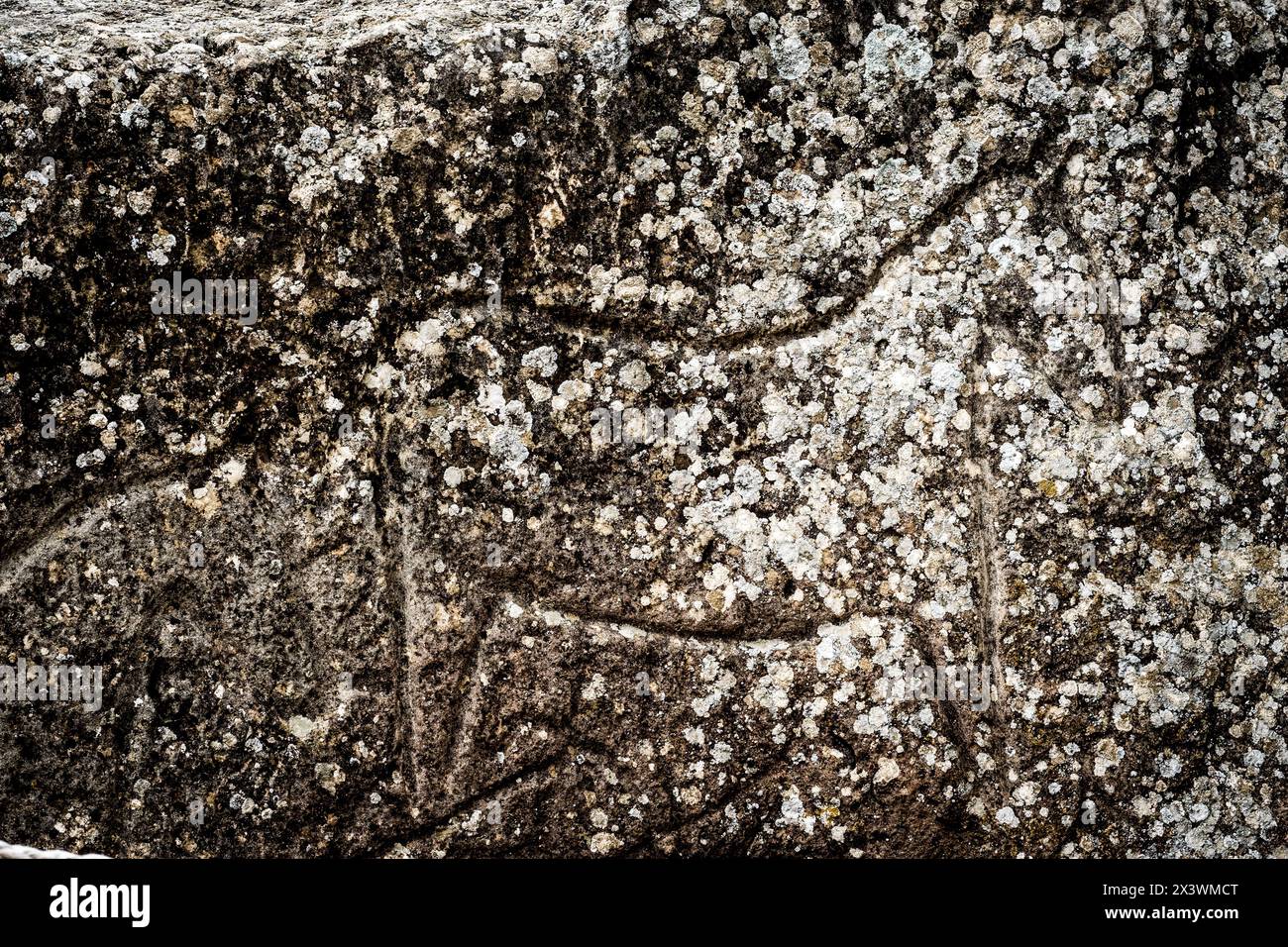 Rock carvings (petroglyphs) of hourses and people in Gobustan National ...