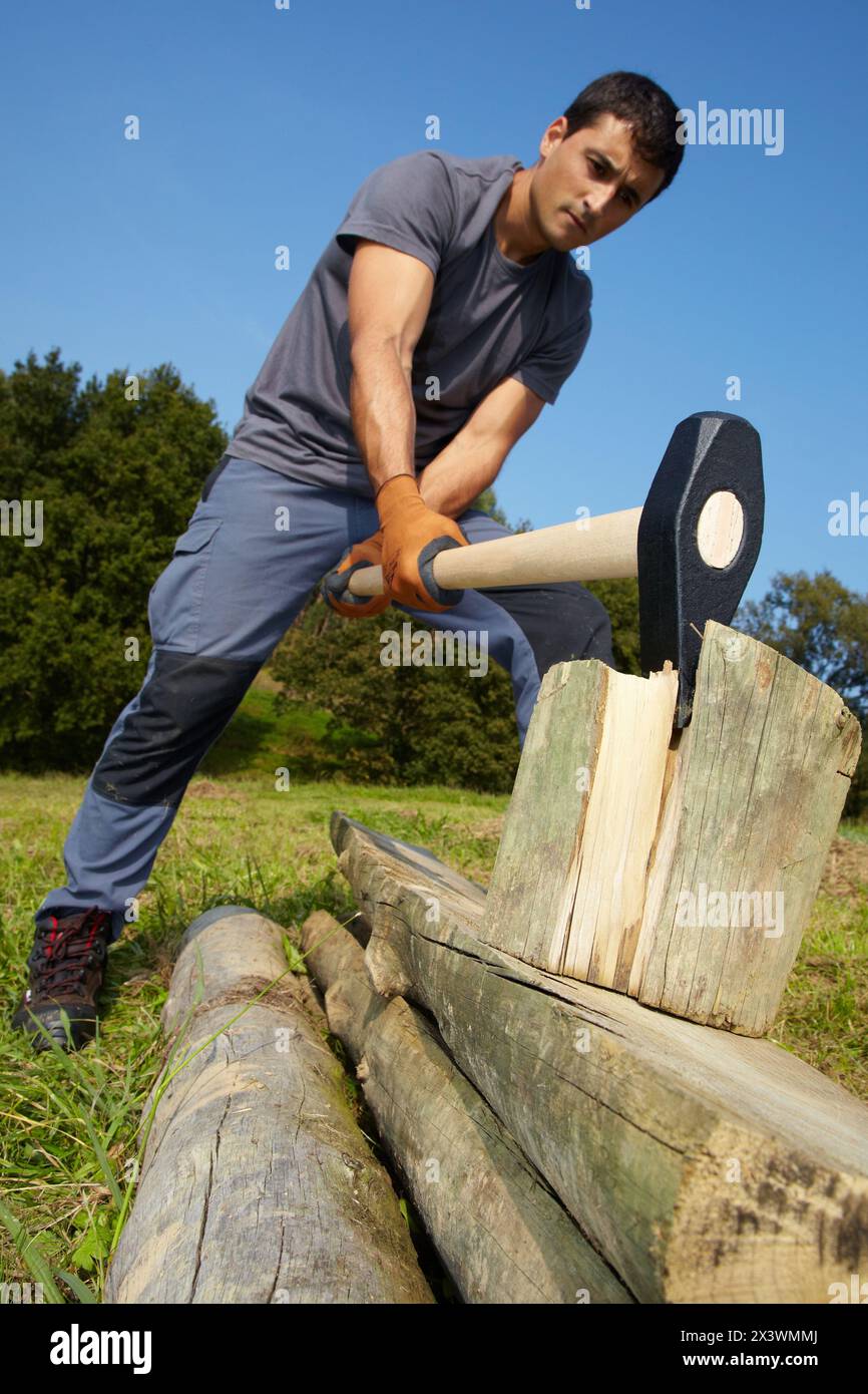 Farmer cutting wood with wedge club, Sledgehammer wedge, Agricultural ...
