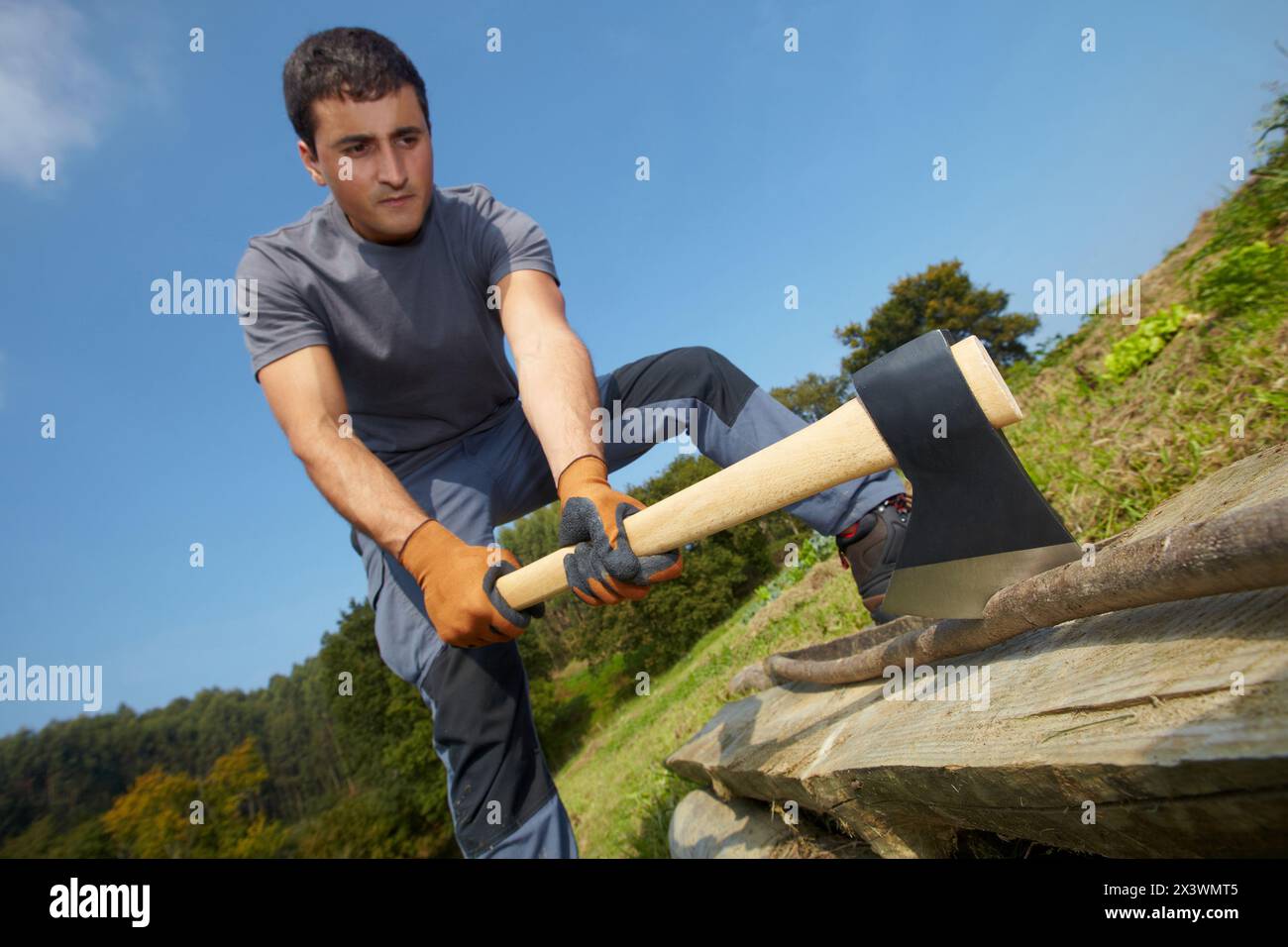 Farmer with axe hi-res stock photography and images - Alamy