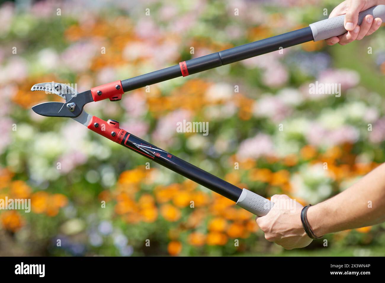 Pruning secateurs, Hand tool, Garden Stock Photo - Alamy