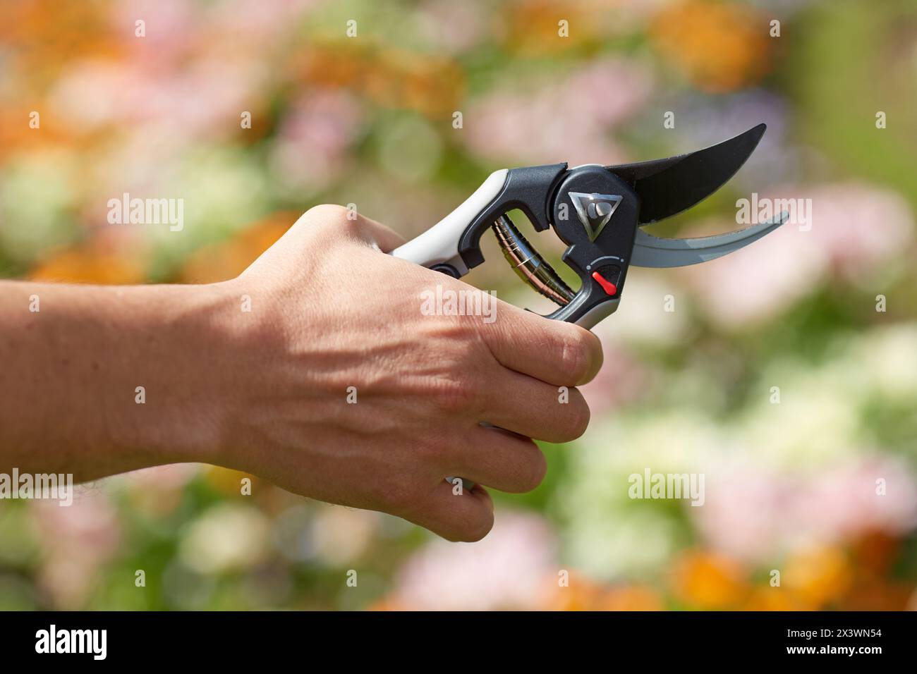 Pruning secateurs, Hand tool, Garden Stock Photo - Alamy