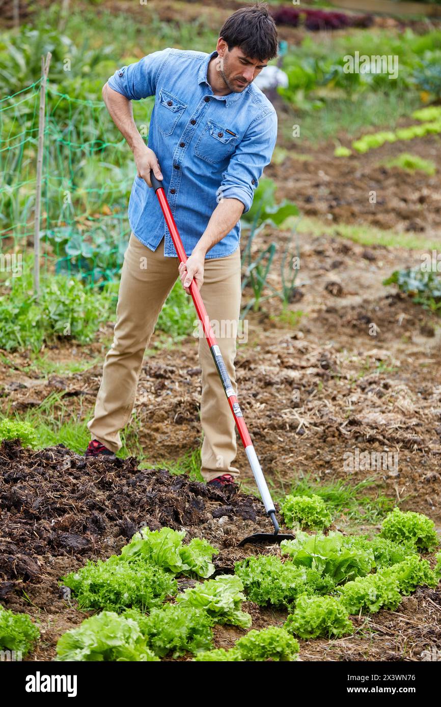 Farmer farming the land, Hoe, Urban vegetable garden, Urban orchards ...