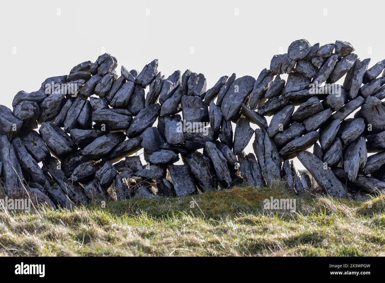 Dry stone wall on the Burren, County Clare, Ireland Stock Photo - Alamy