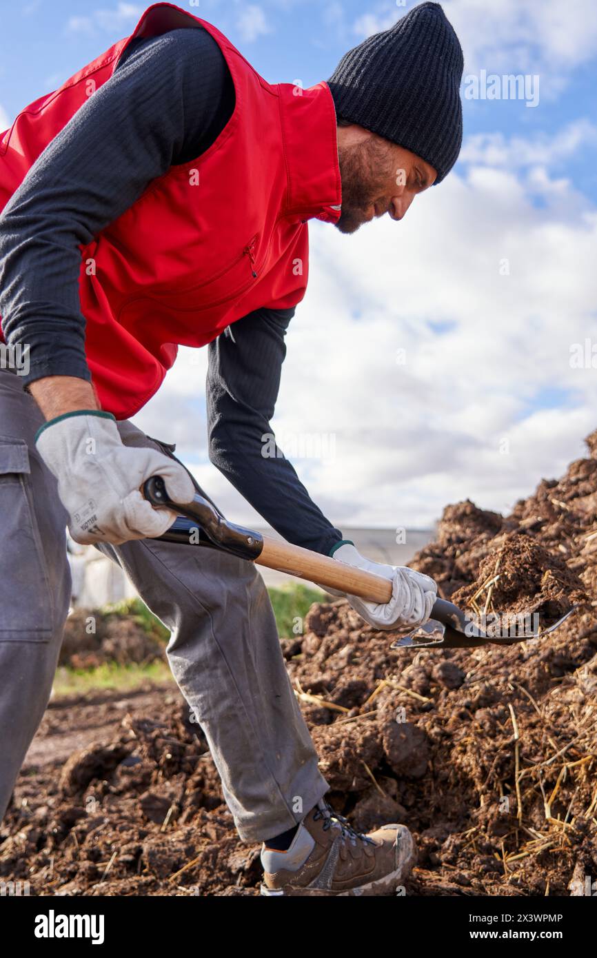 Farmer loading manure, Agricultural field, Calahorra, La Rioja, Spain ...