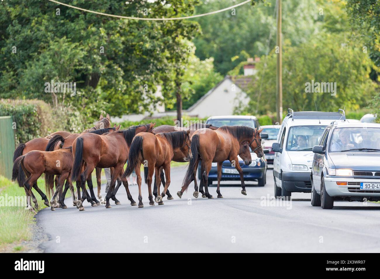 Irish road sport hi-res stock photography and images - Alamy