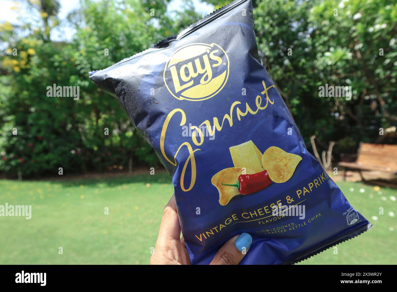 Lay Gourmet chips Packet. Lays wafers in Vintage Cheese and Paprika ...