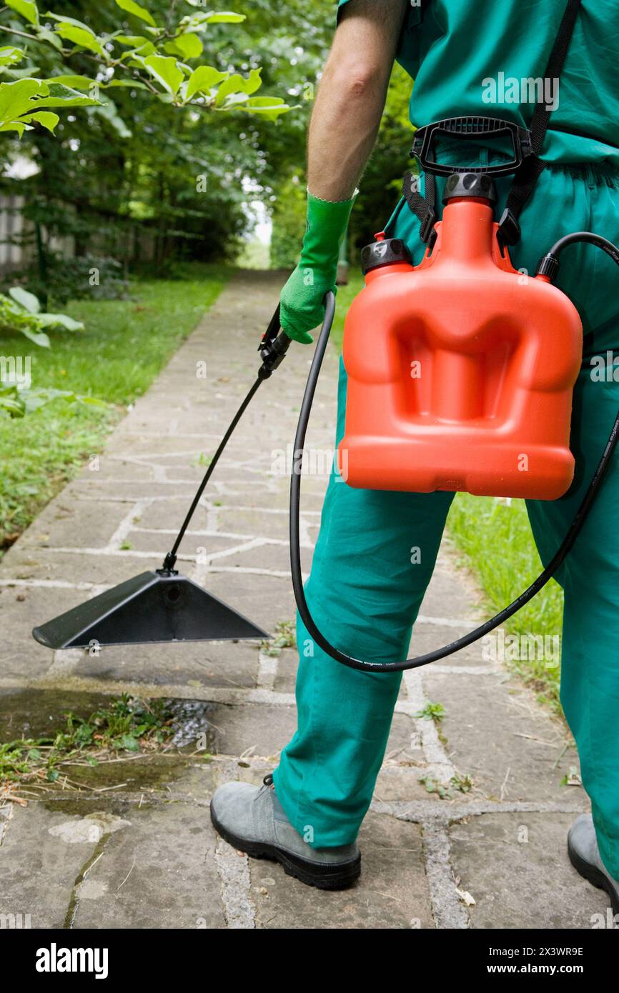 Gardener applying herbicide with bell sprayer Stock Photo - Alamy