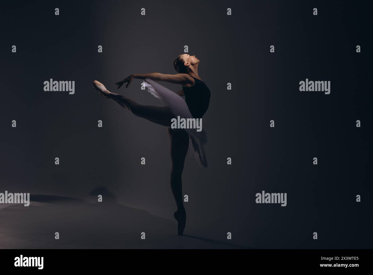 Young ballerina in elegance white tutu and pointe shoes performing ...
