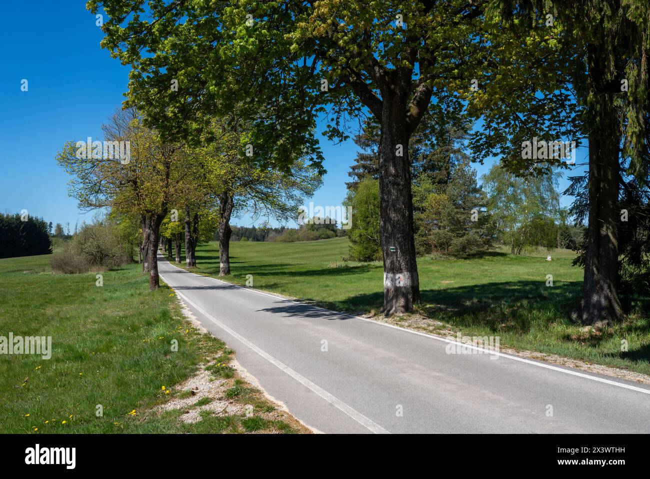 Country road at the historic border of Bohemia and Moravia, southern ...