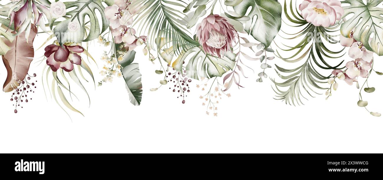 Anthurium border hi-res stock photography and images - Alamy