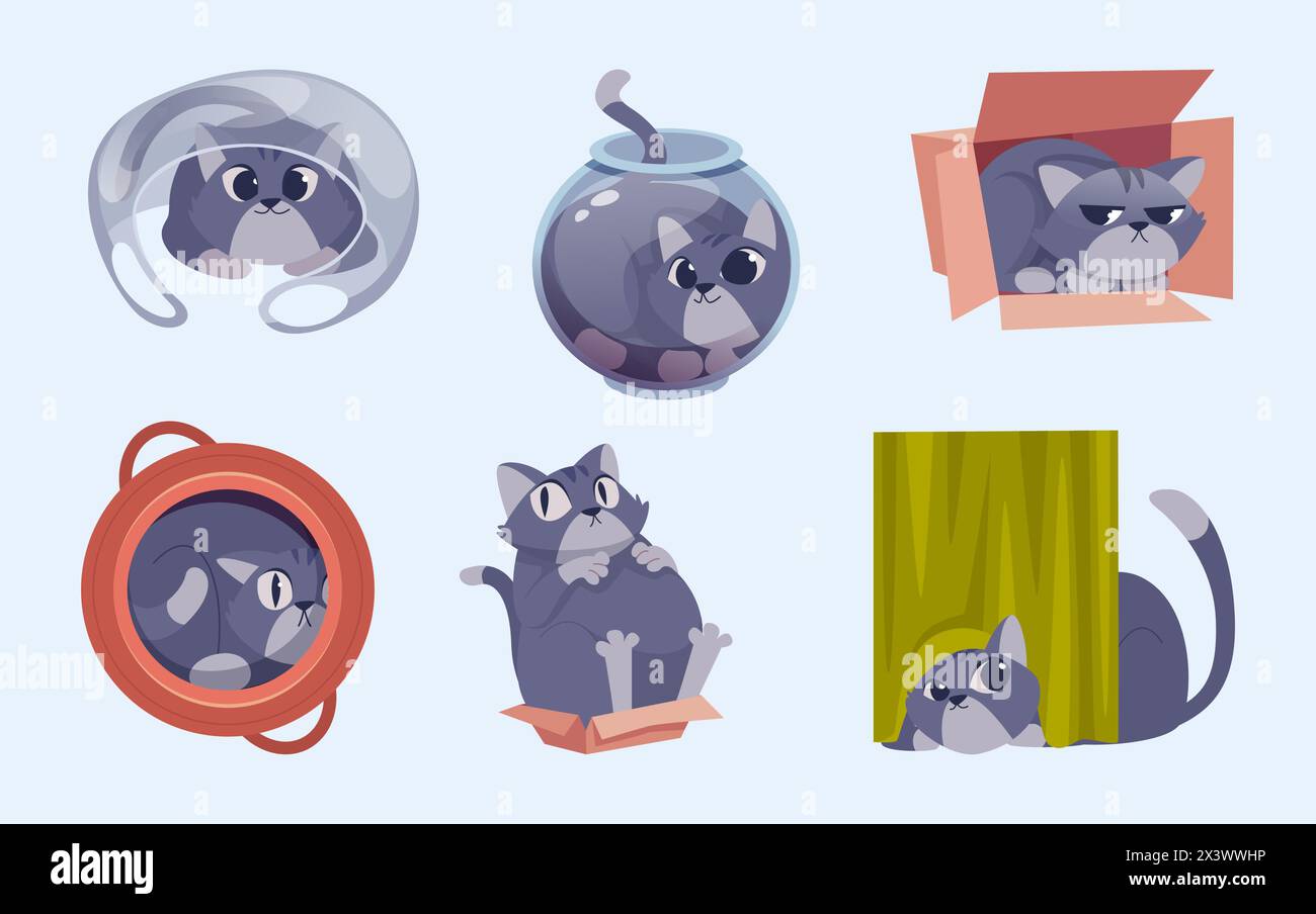 Hiding cat. Domestic animals hidden in different places indoor room ...