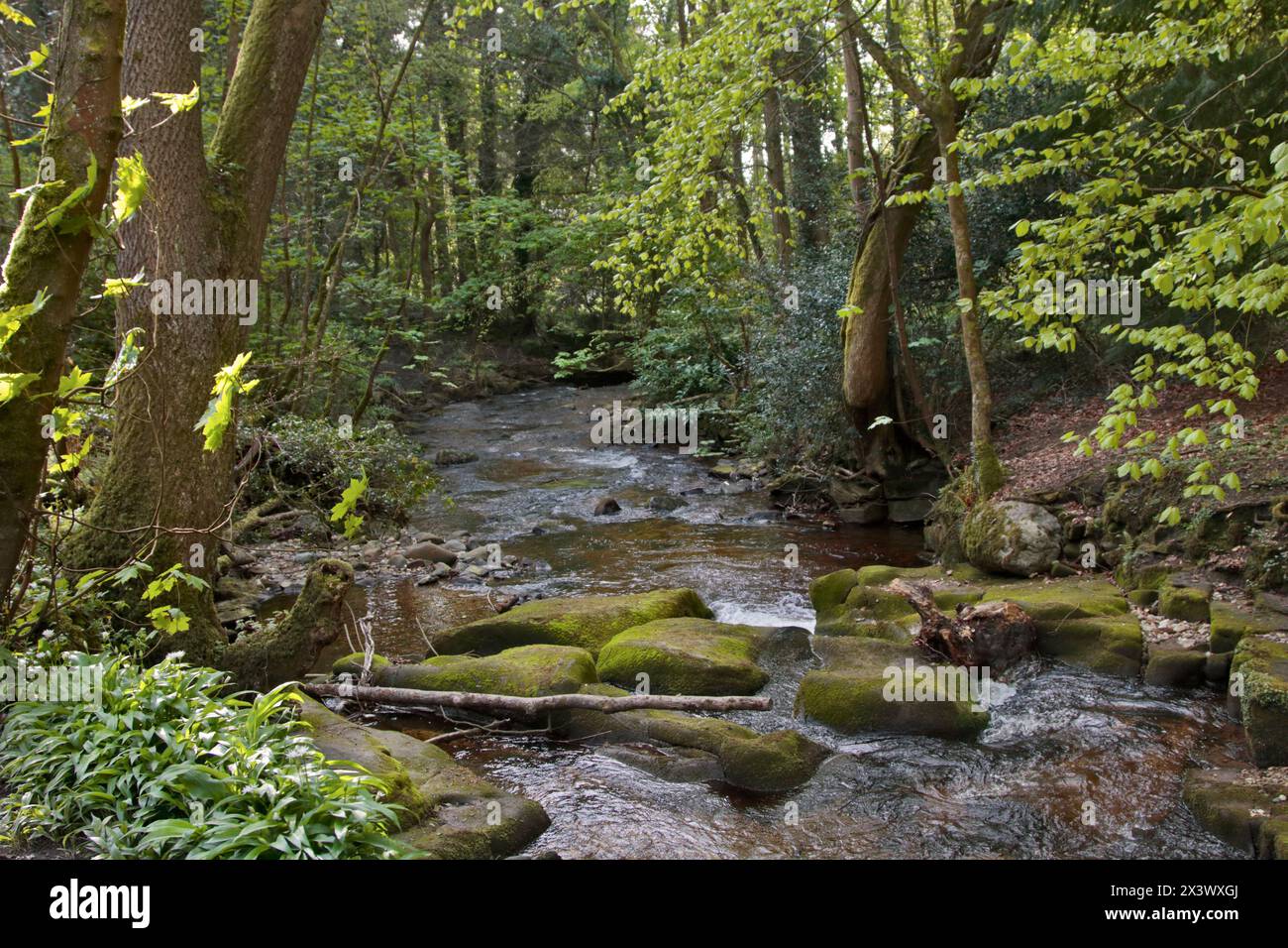 Clywedog wrexham hi-res stock photography and images - Alamy