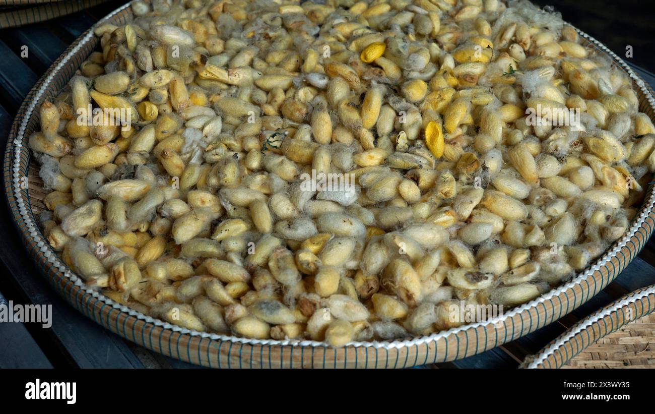 silk manufacture on silk island in phnom penh Stock Photo - Alamy