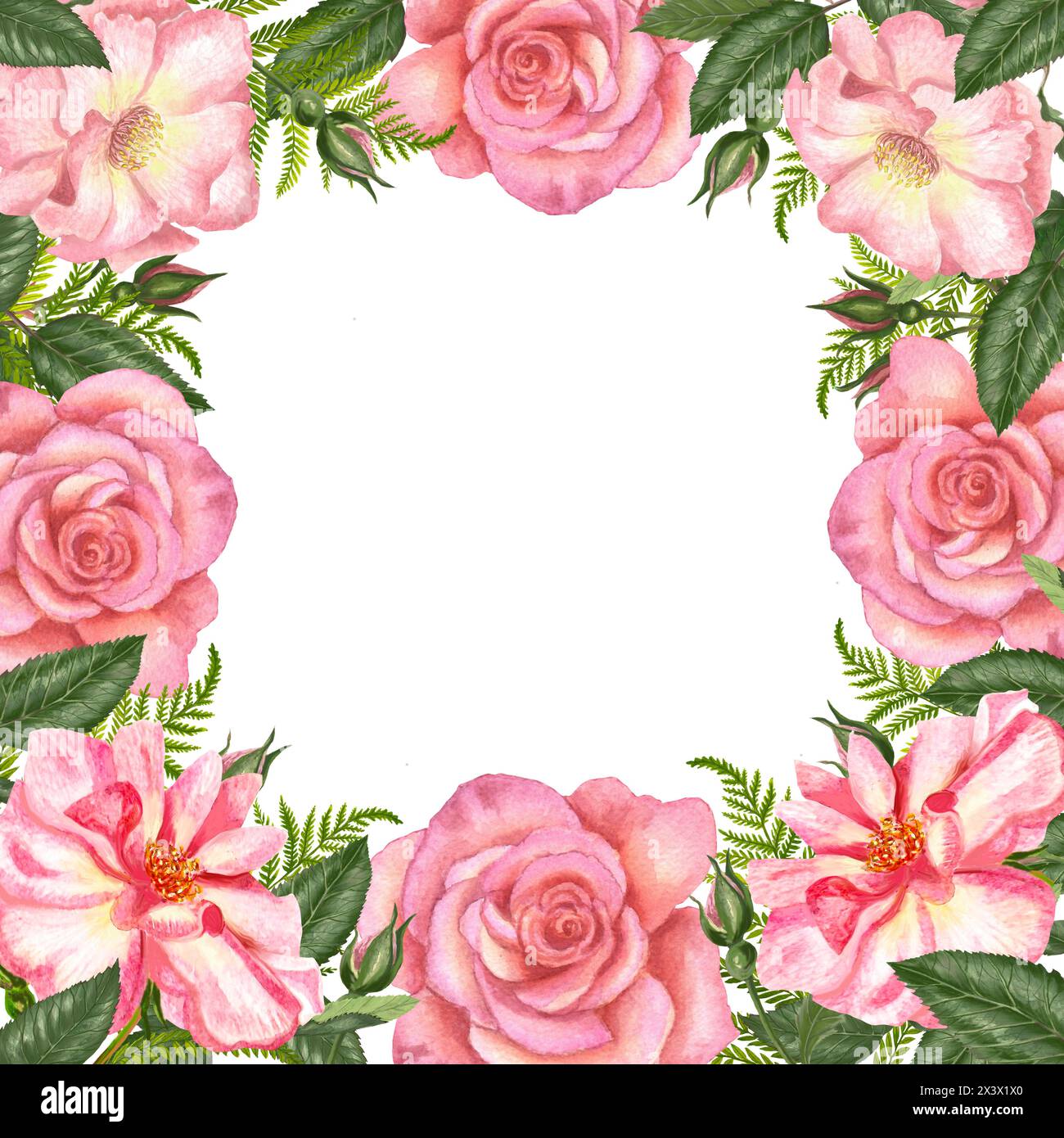 Beautiful square frame of pink rosehip flowers and leaves. Watercolor ...