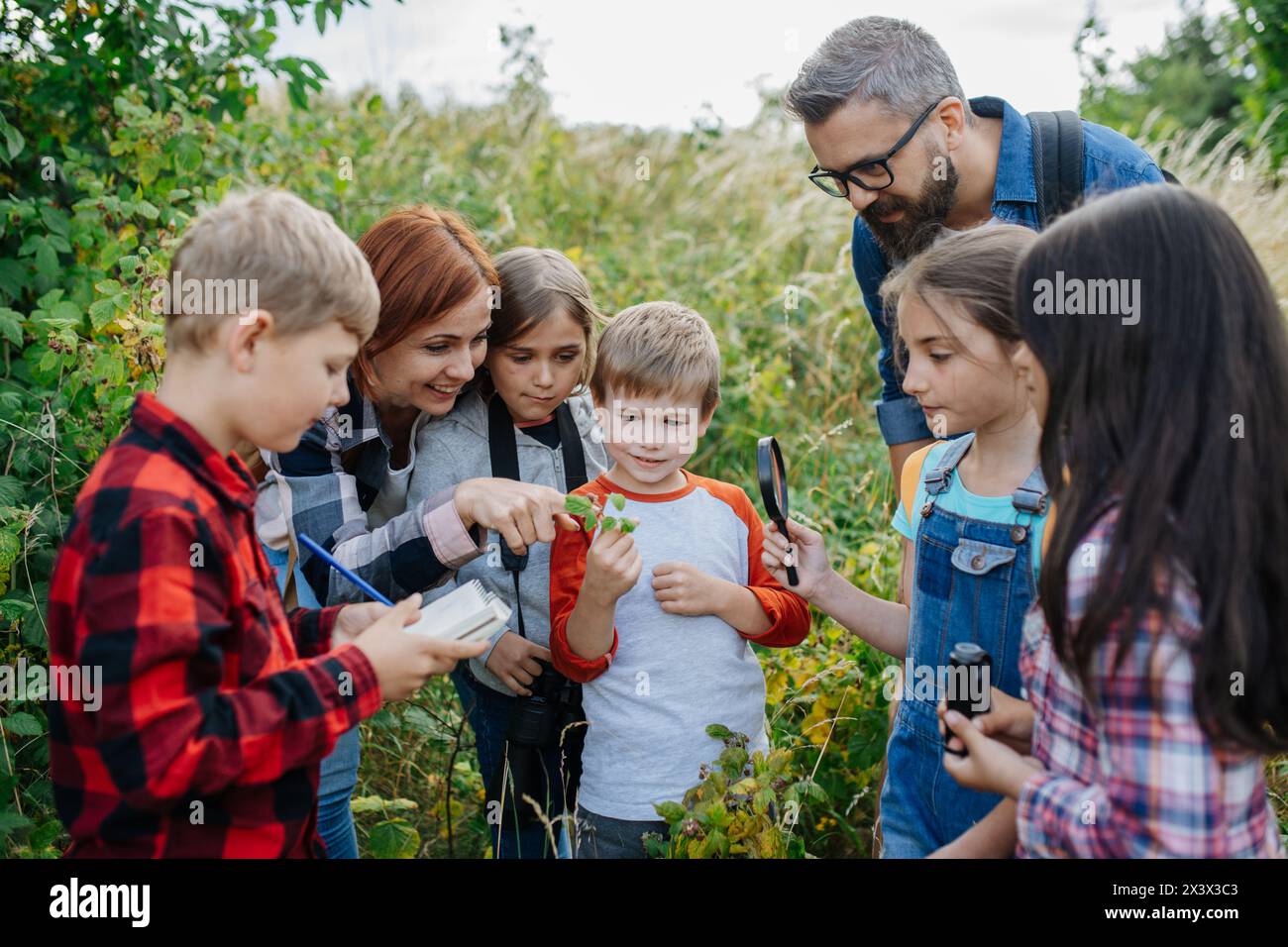 Young students learning about nature, forest ecosystem during biology ...
