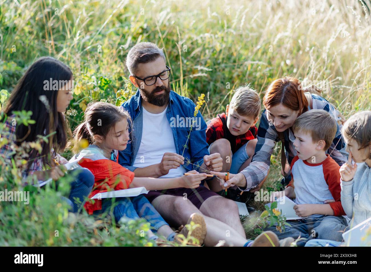Young students learning about nature, forest ecosystem during biology ...