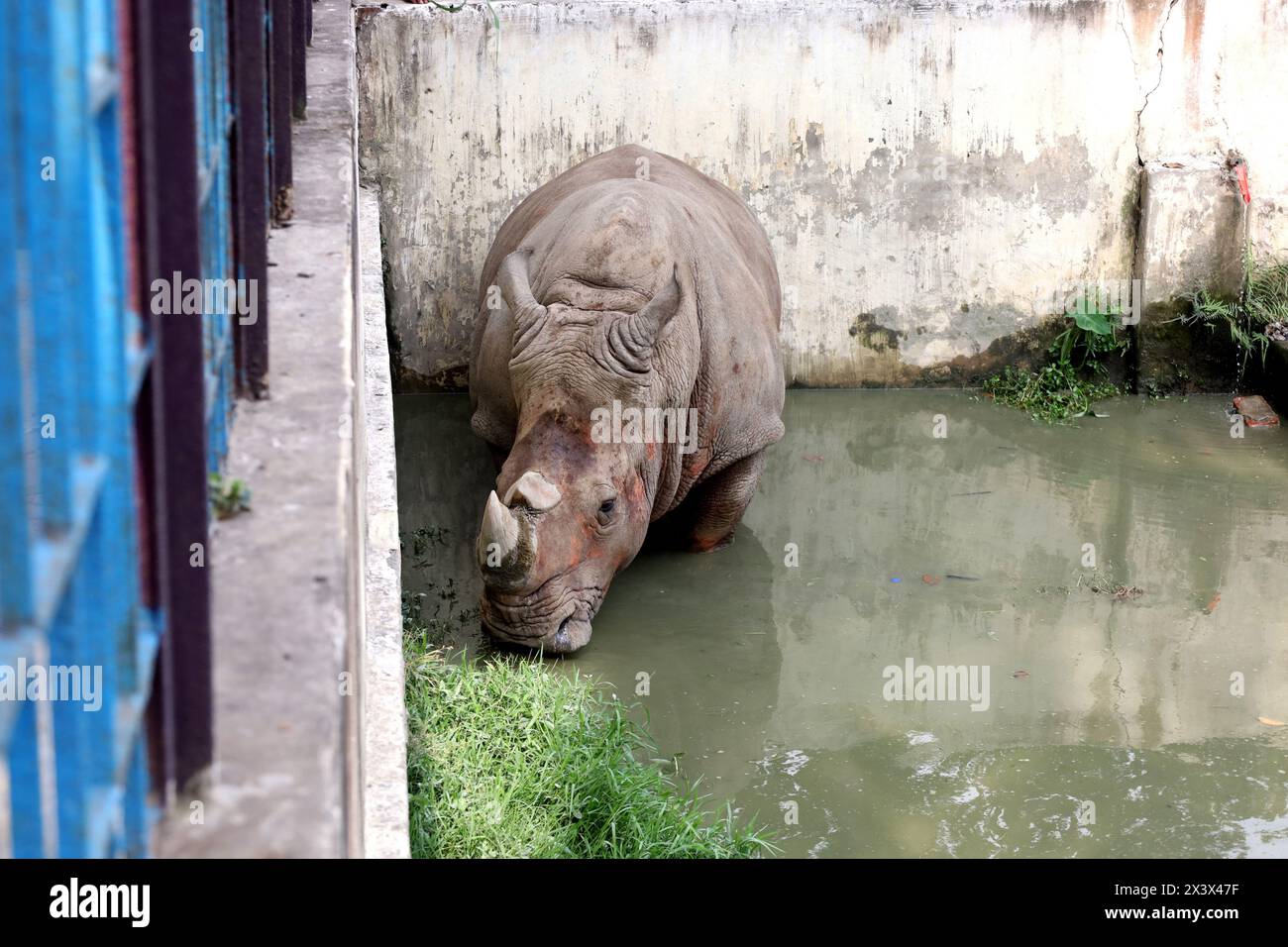 Heat wave in bangladesh hi-res stock photography and images - Alamy