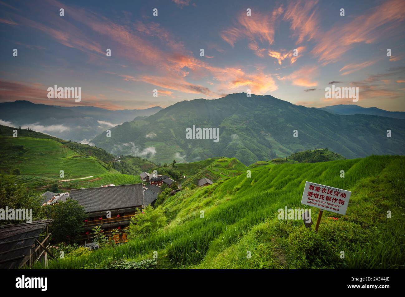 Please respect the farmers land at Longsheng Rice Terrace, Dragon's ...