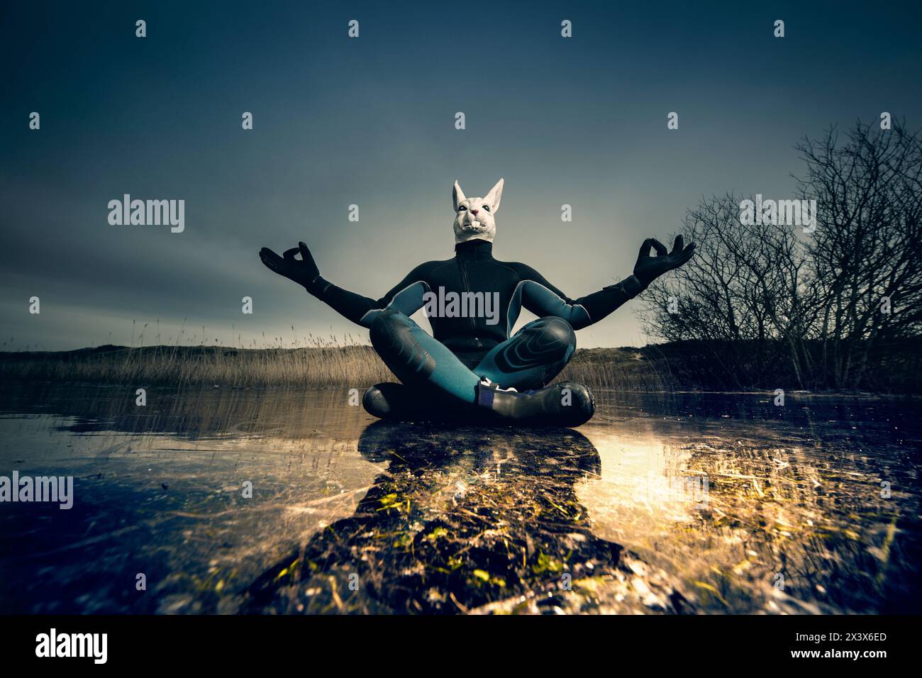 Half man, half animal Stock Photo - Alamy