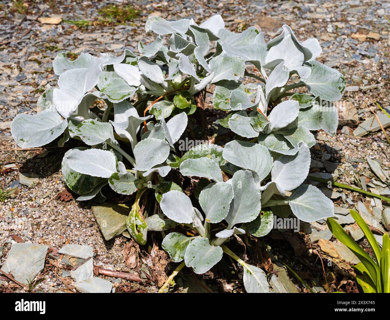 White contaier hi-res stock photography and images - Alamy