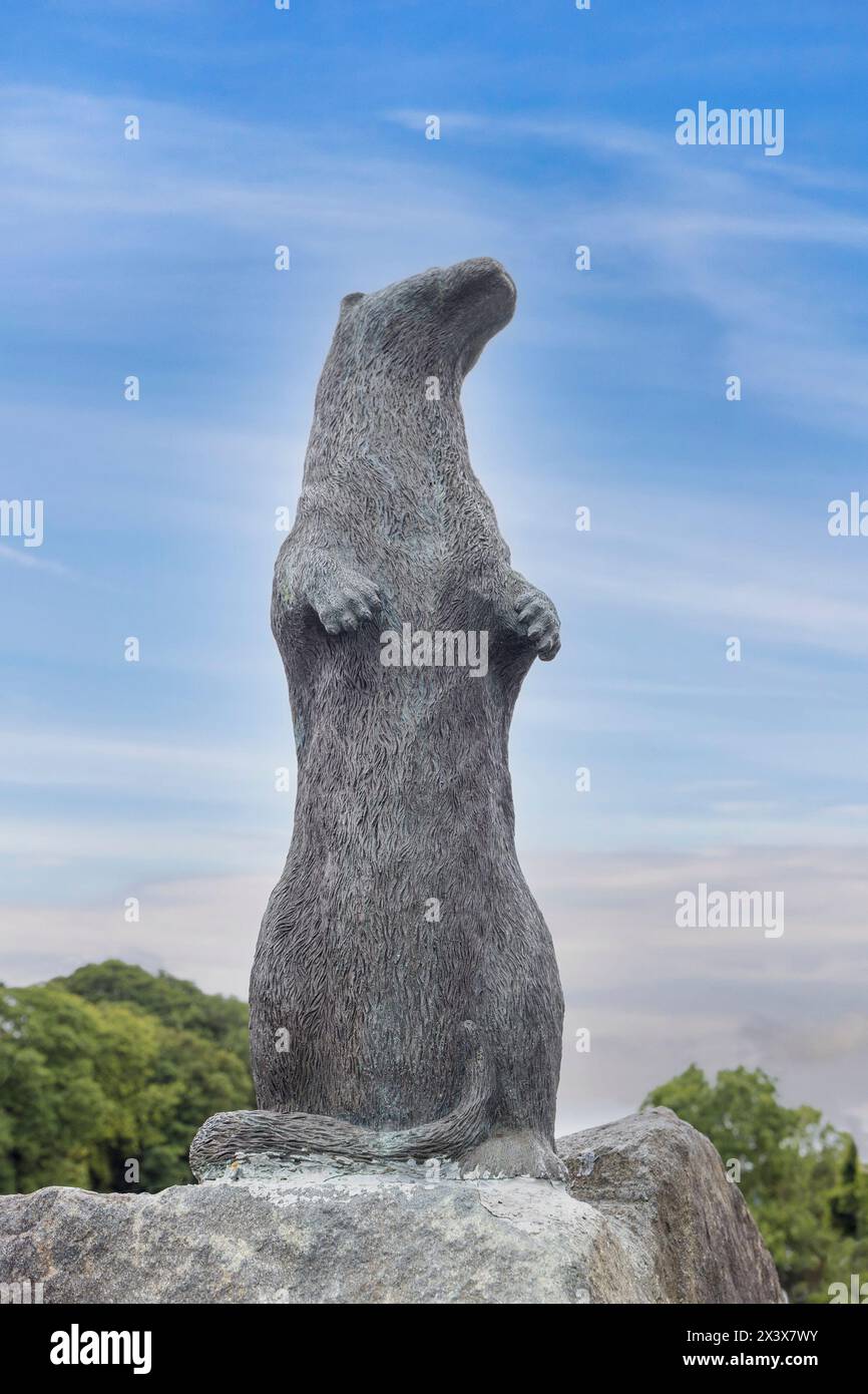 Cardigan wales hi-res stock photography and images - Alamy