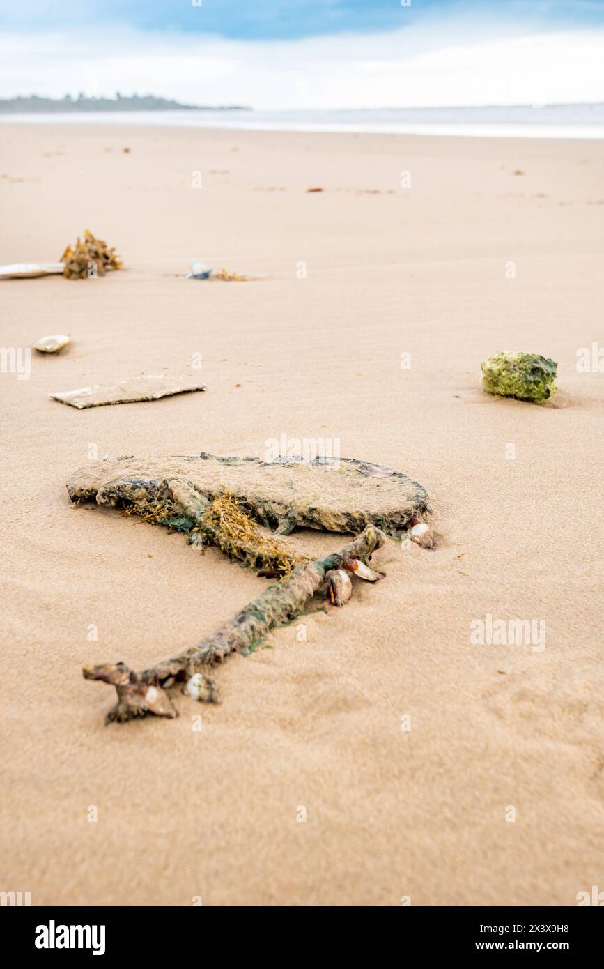 Old jandals hi-res stock photography and images - Alamy