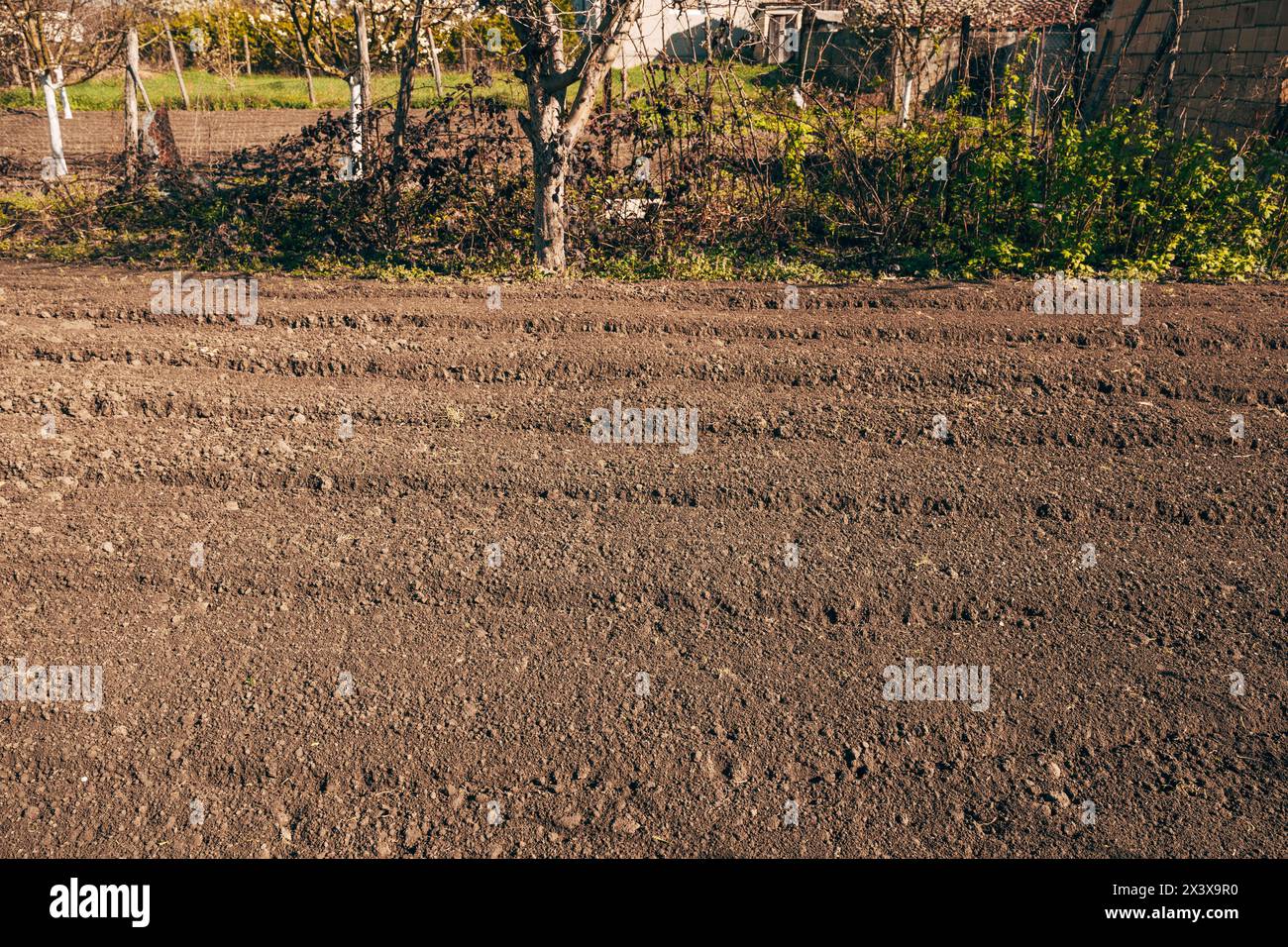 Tilled land soil in organic garden for homegrown produce Stock Photo ...