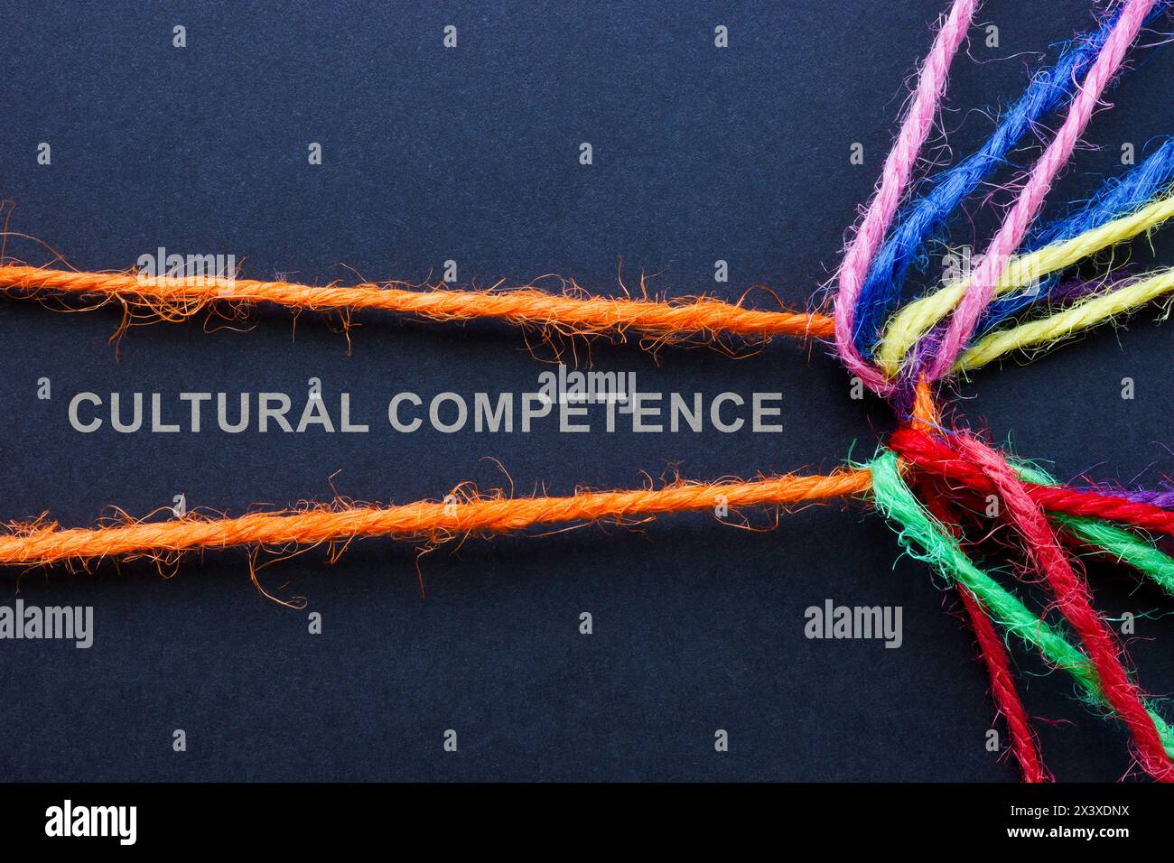 Inscription cultural competence and intertwined colored threads Stock ...
