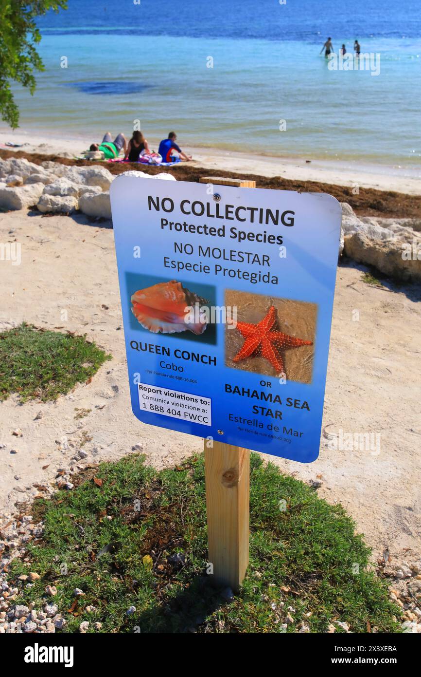 USA, Florida, Keys. . Collection of shellfish prohibited. Protected ...