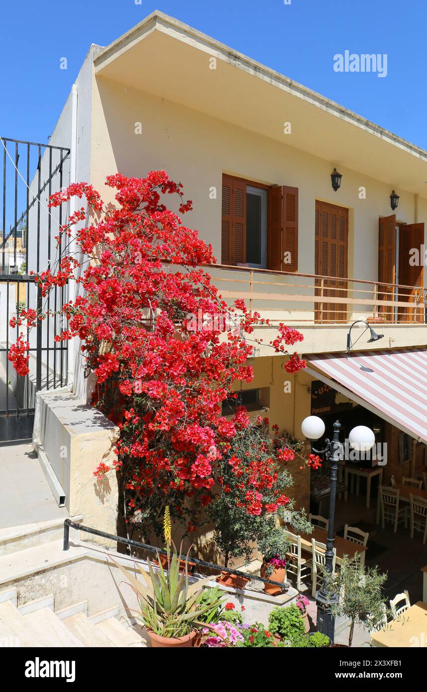 KOS, GREECE-MAY 12,2019:Building with Restaurant, Window Shutters, Red ...