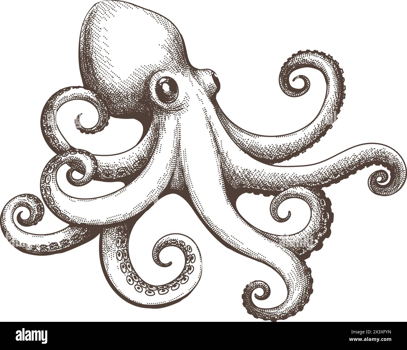 Octopus engraving vintage black Stock Vector Images - Alamy