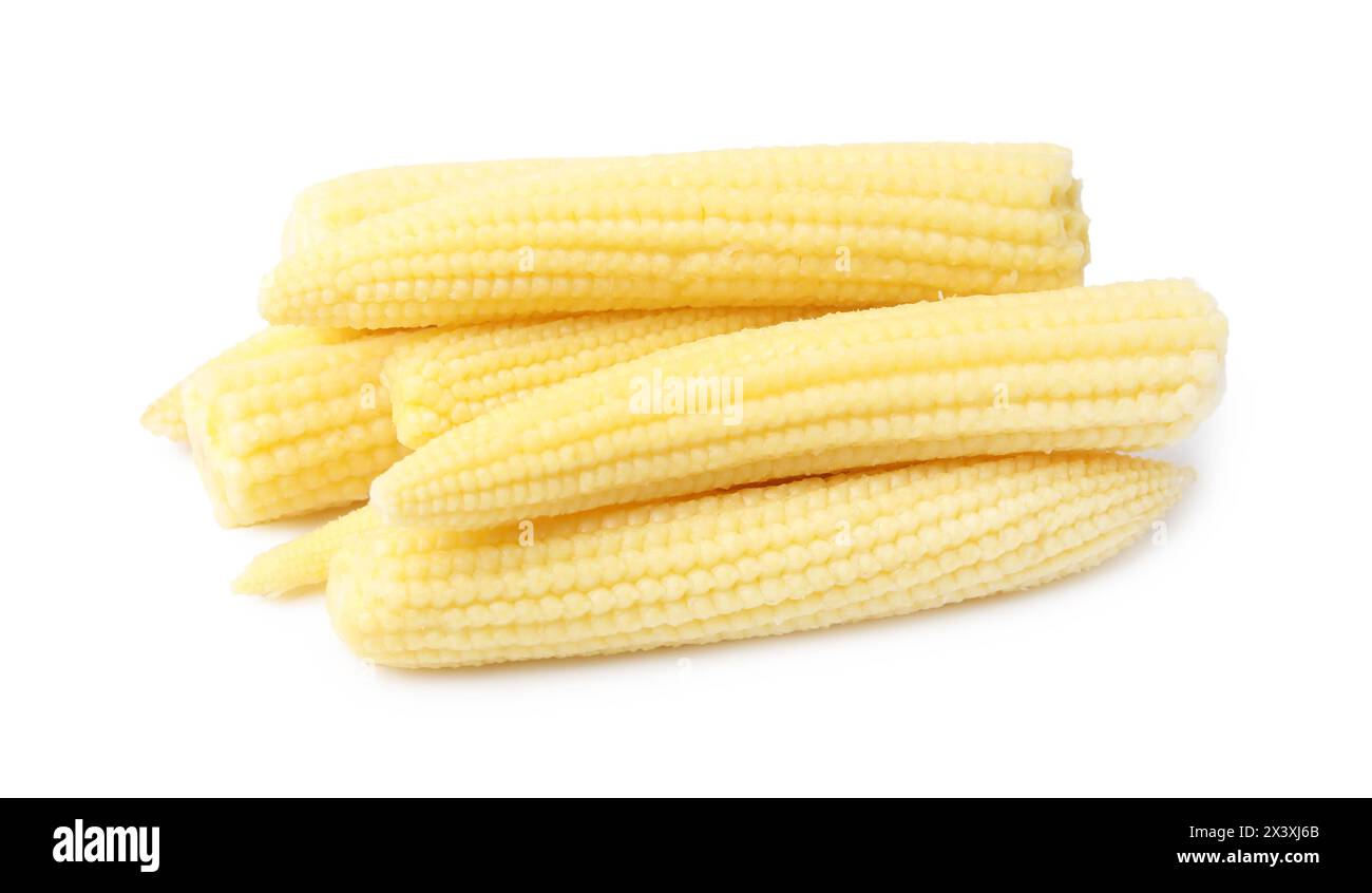 Fresh sweet corns on Cut Out Stock Images & Pictures - Alamy