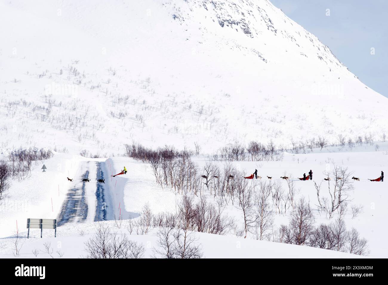 Tromso norway dog sled hi-res stock photography and images - Alamy