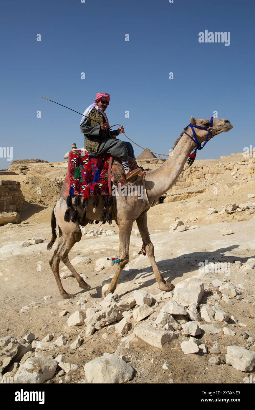 Man of Camel, Giza Pyramid Complex, UNESCO World Heritage Site, Giza ...