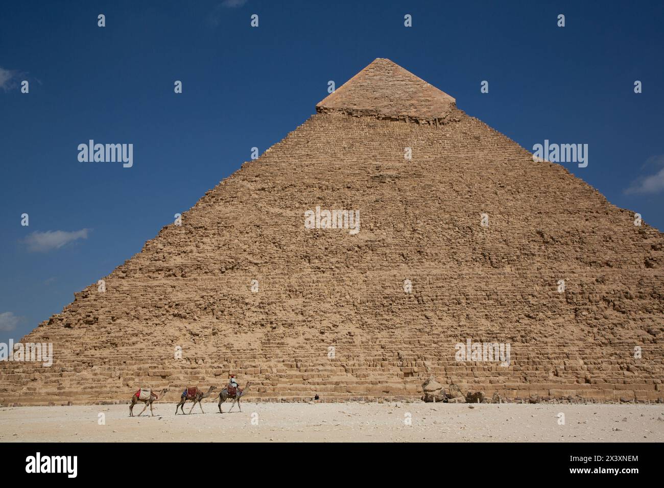 Man with Camels, Pyramid of Khafre (also called Chephren) (background ...