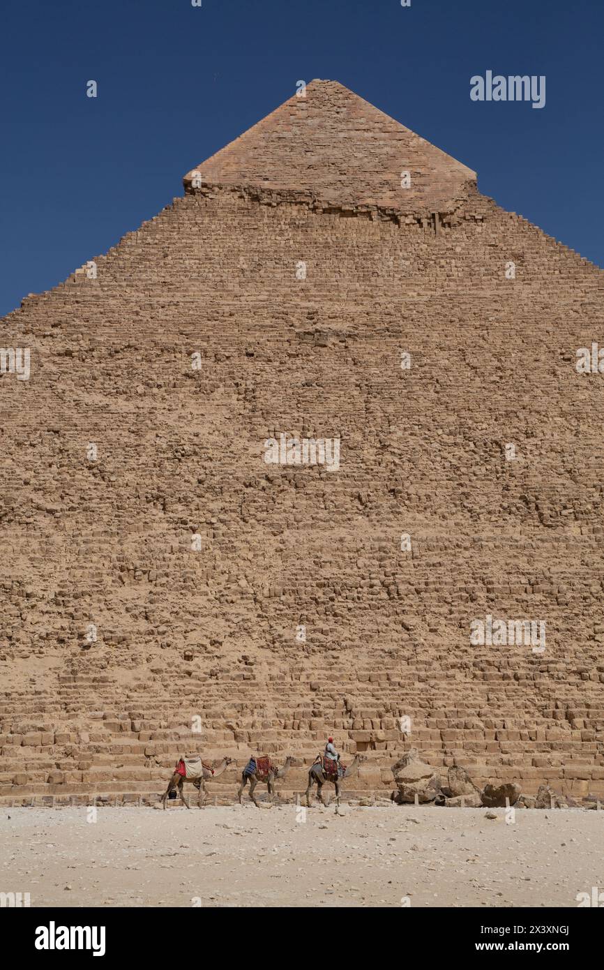 Man with Camels, Pyramid of Khafre (also called Chephren) (background ...