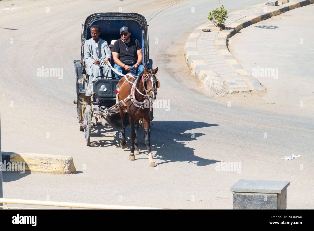 Tourist riding with driver in horse and cart transport. Edfu, Egypt ...