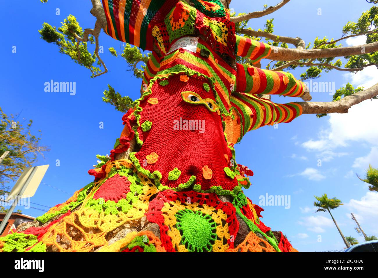 Dorado rico hi-res stock photography and images - Alamy