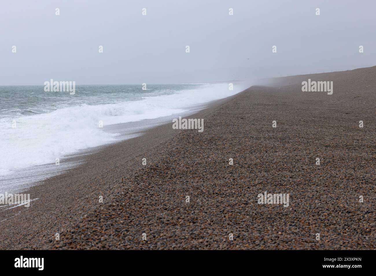 The Fleet Chesil Beach Portland Dorset April 2024 Stock Photo - Alamy
