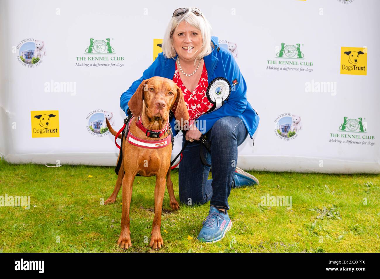 EDITORIAL USE ONLY Hungarian Vizsla, Alfie with Sue Webber MSP wins 2nd ...