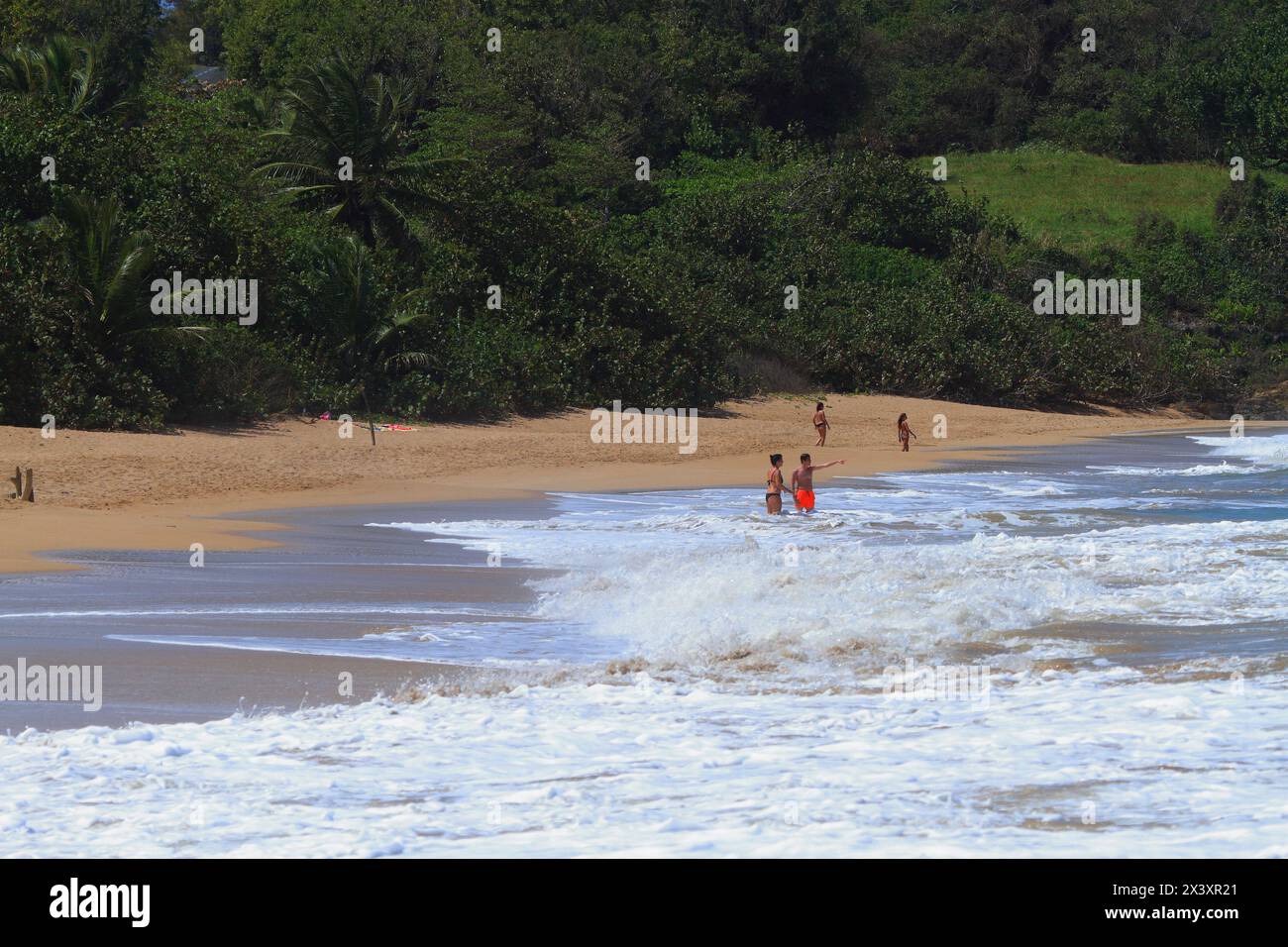 French lesser antilles hi-res stock photography and images - Alamy