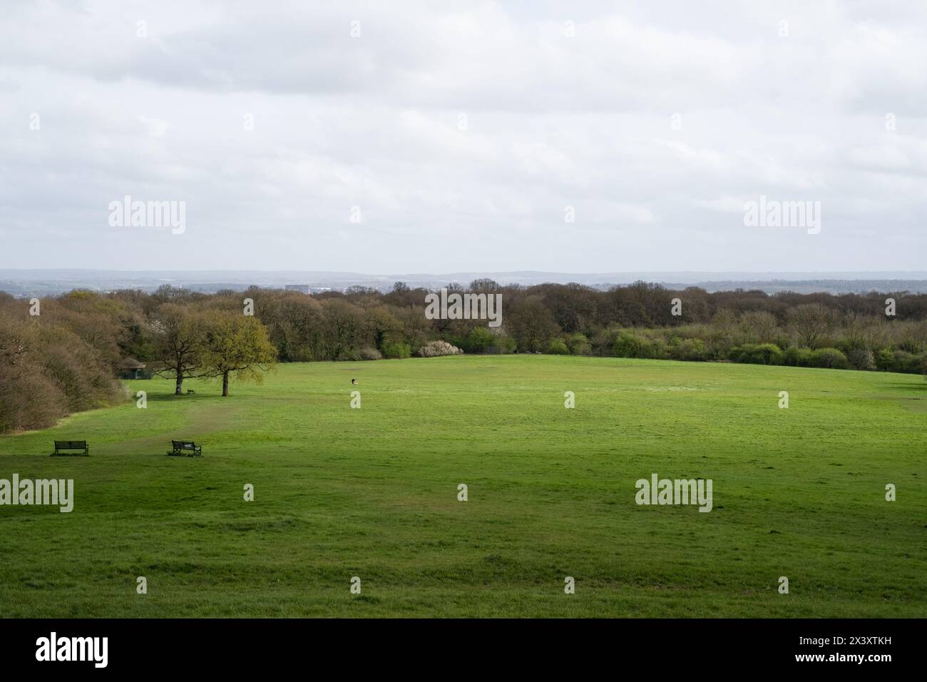 View across Oxleas Meadows, London, UK Stock Photo - Alamy