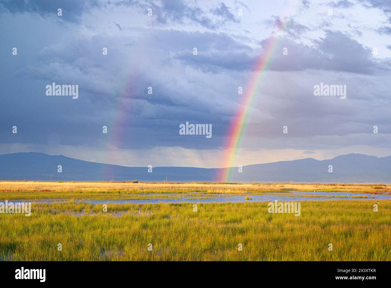 Double rainbow photographed on a late spring afternoon in marshy area ...