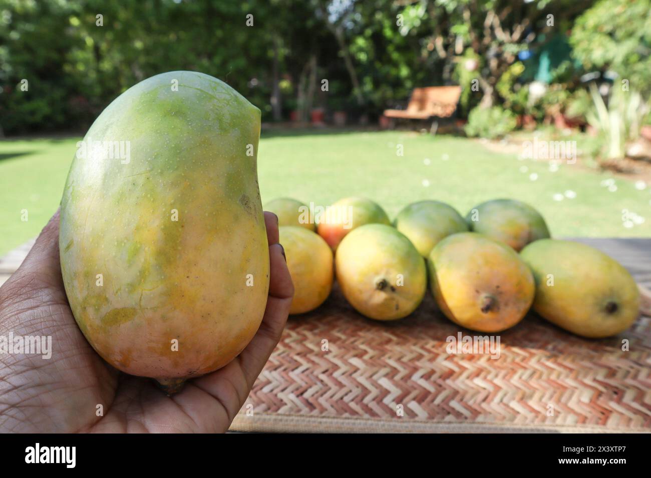 Keri fruit hi-res stock photography and images - Alamy